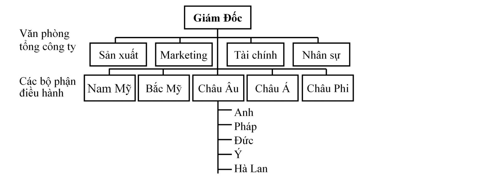 Cấu trúc tổ chức theo bộ phận (divisionalized structure)