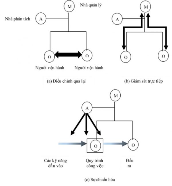 Cấu trúc 5 bộ phận cơ bản bên trong doanh nghiệp (Structure in Fives)
